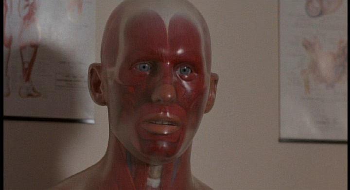 Movie Review – Pin – PopCult Reviews